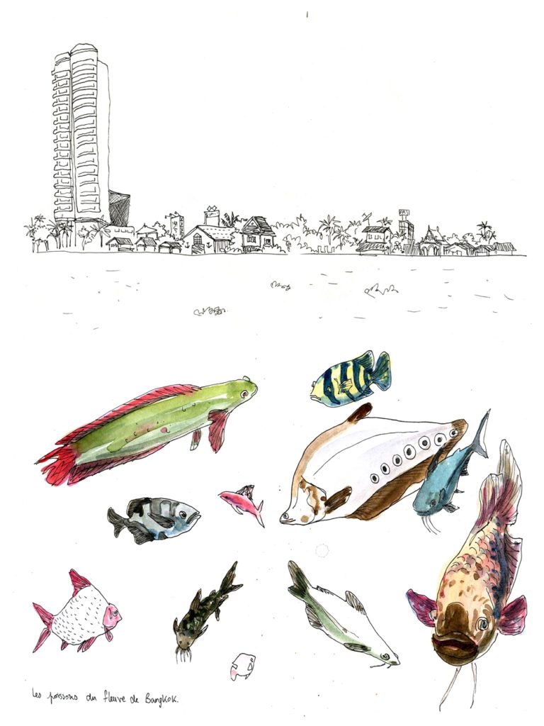 NUDD-MITCHELL EMILY - Rendez-vous international du carnet de voyage